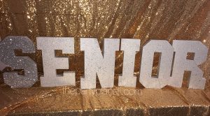 Large Prop Letters & Designs | The Party Place LI | The Party Specialists